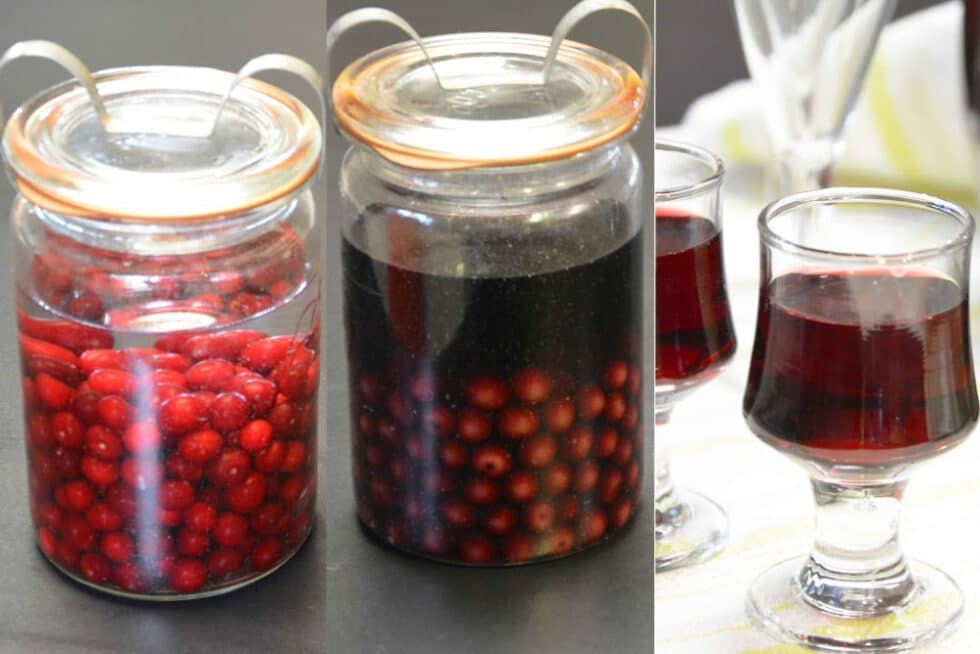 Hjemmelavet snaps opskrift - lav selv snaps med vodka og kirsebær